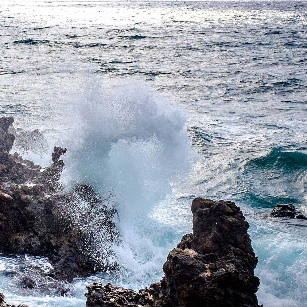 Make a Splash with Video - TRAFFIK Advertising & Marketing